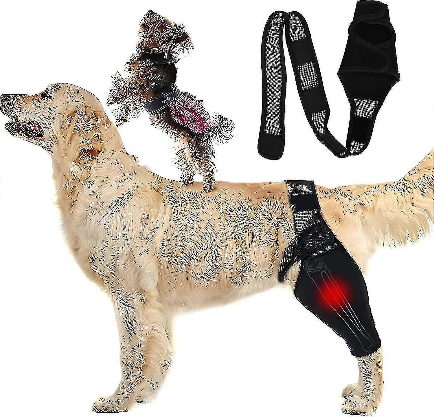 Dog Elbow Brace, Dog Compression Knee Brace, Elbow And Shoulder Support ...