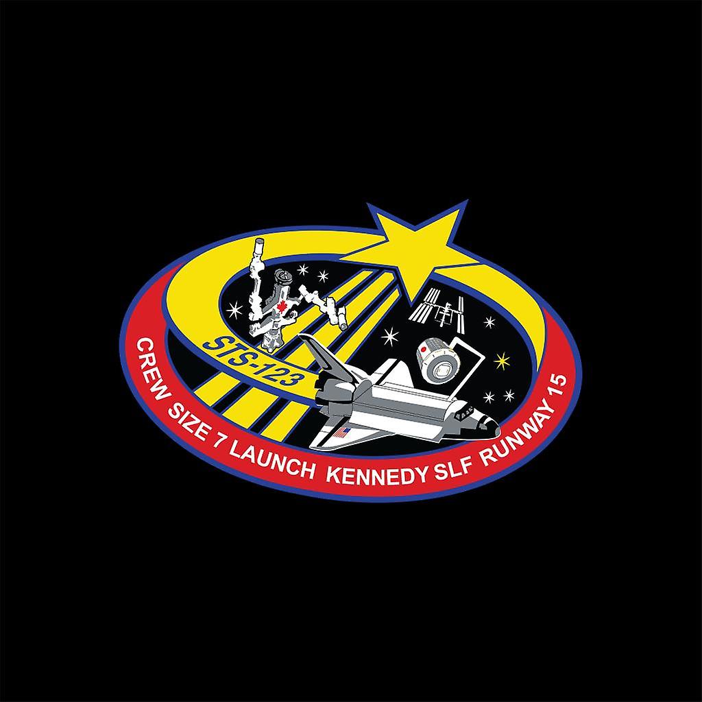 NASA STS 123 Space Shuttle Endeavour Mission Patch A4 Print | Fruugo UK