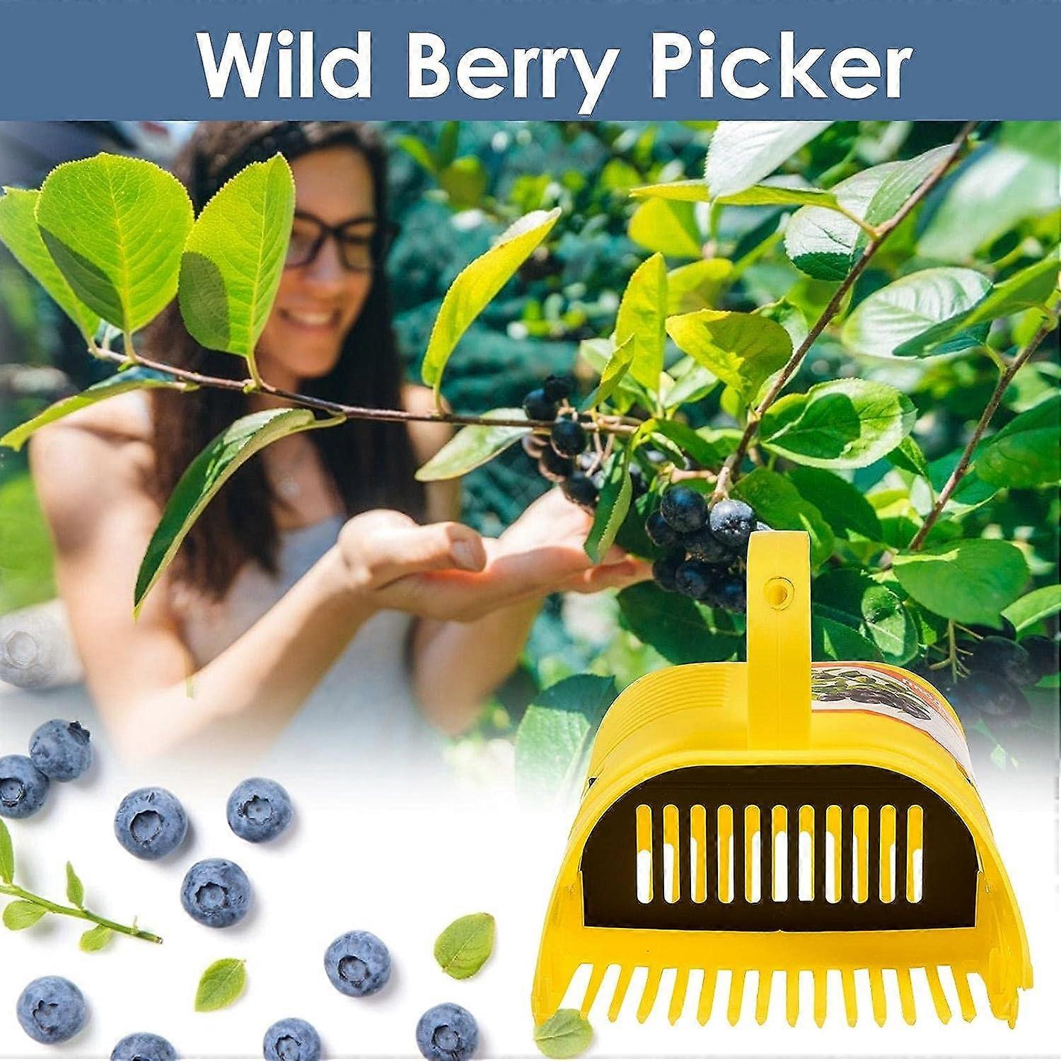 Plastic berry picker with comb and handle, rake for wild berry picking ...