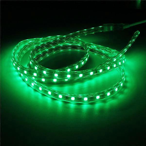 Waterproof Ip67 2m 60smd 5050 Red/blue/green/warm White/white/rgb Led ...