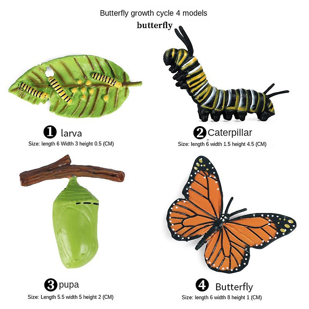 16PCS Insect Figurines Life Cycle of Butterfly,Honey Bee,Cicada,Ladybug ...