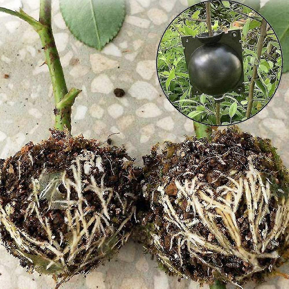 Plant Grafting Box, 4 Pieces Plant Rooting Device, Plant High Pressure ...