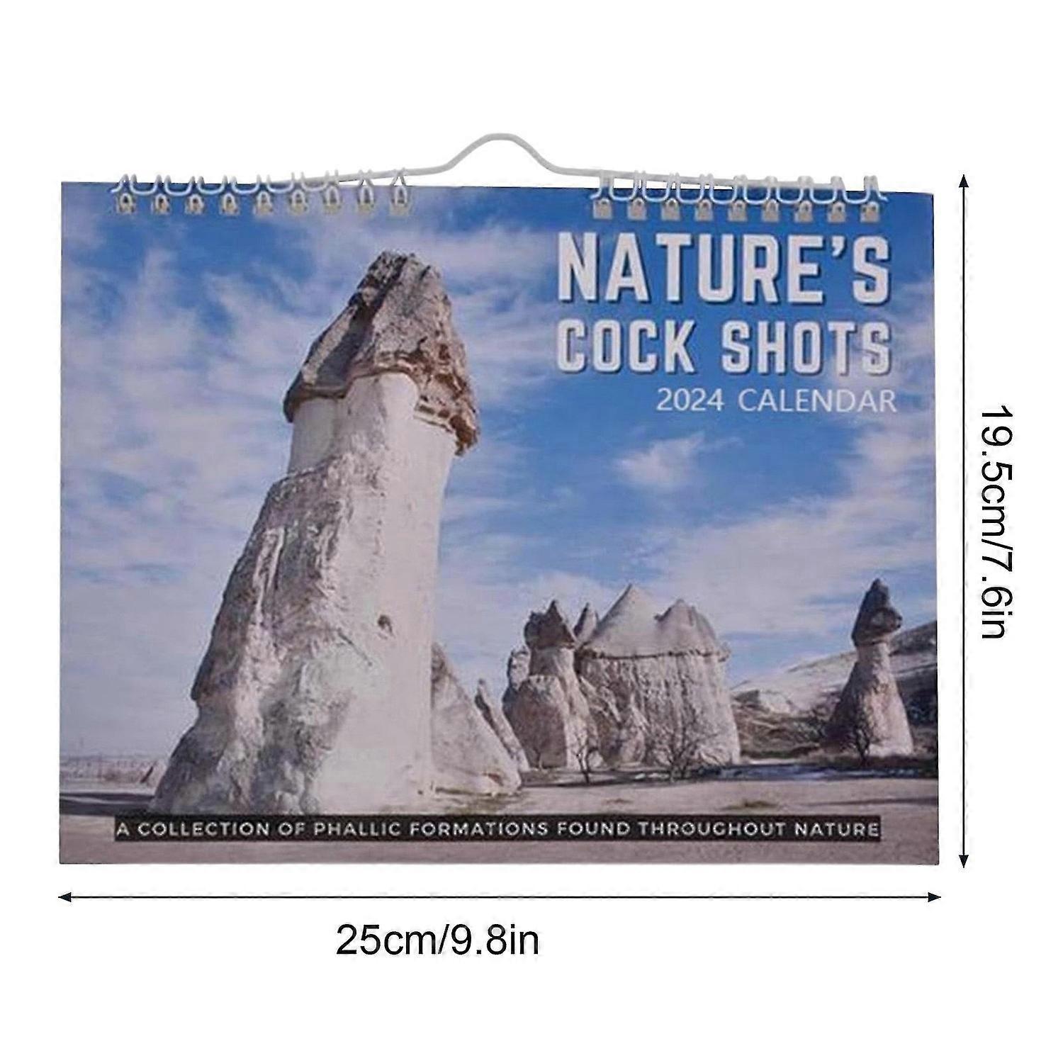 Calendar 2024, Funny Calendar 2024 Christmas Gift, Natural Scenery Wall Calendar, Stylish ...