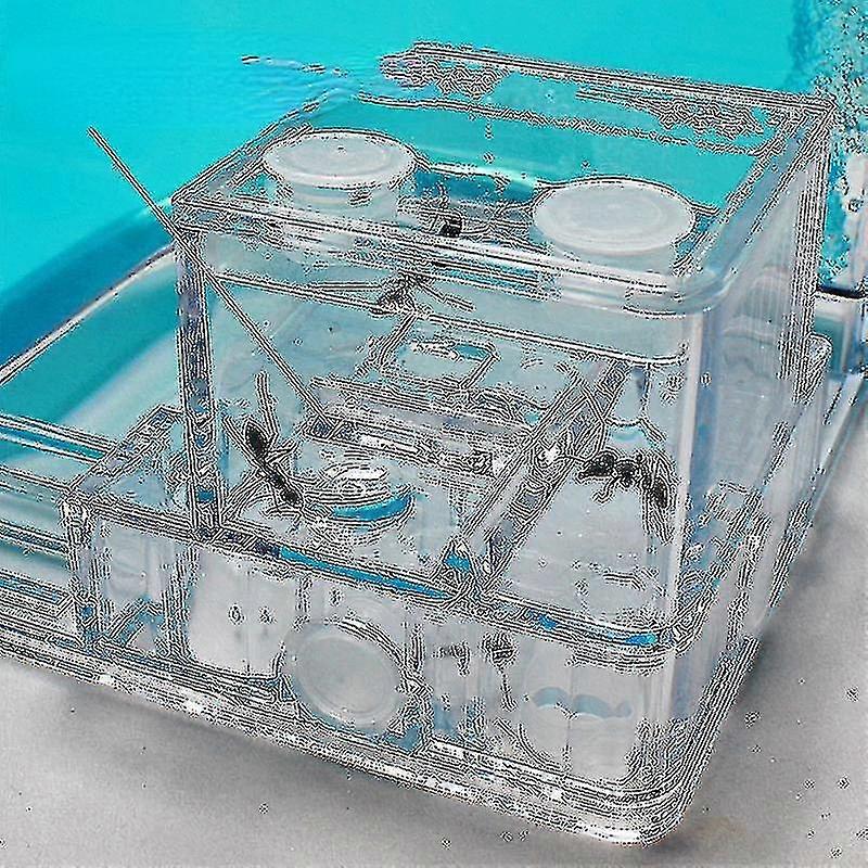 Ant Castle Ecological Toy Science Experiment Teaching Ant Nest Ant Nest ...