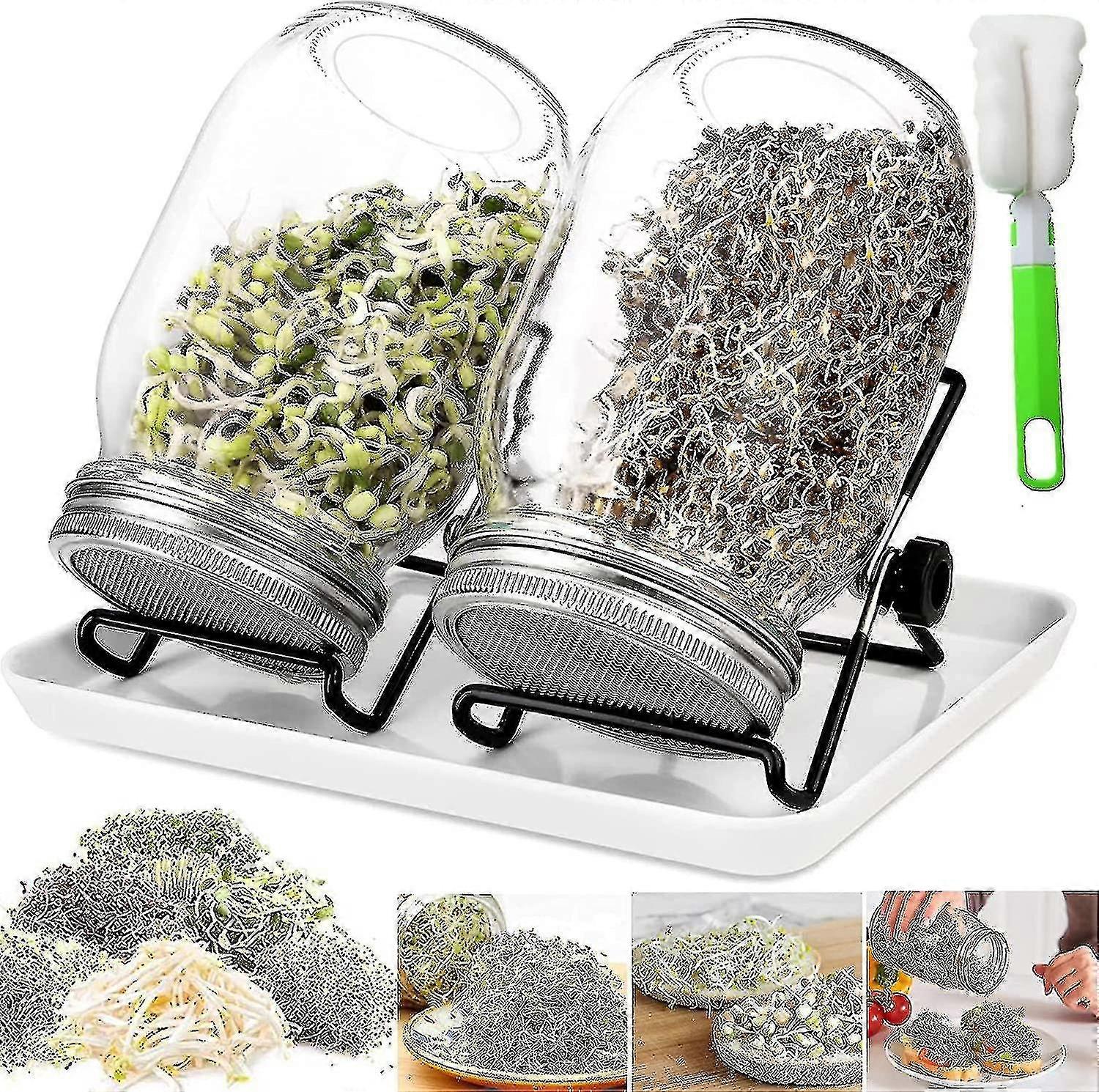 Sprouting Jars, 950ml Glass Sprouter With, Sprouting Seed Sprouter, 2 ...