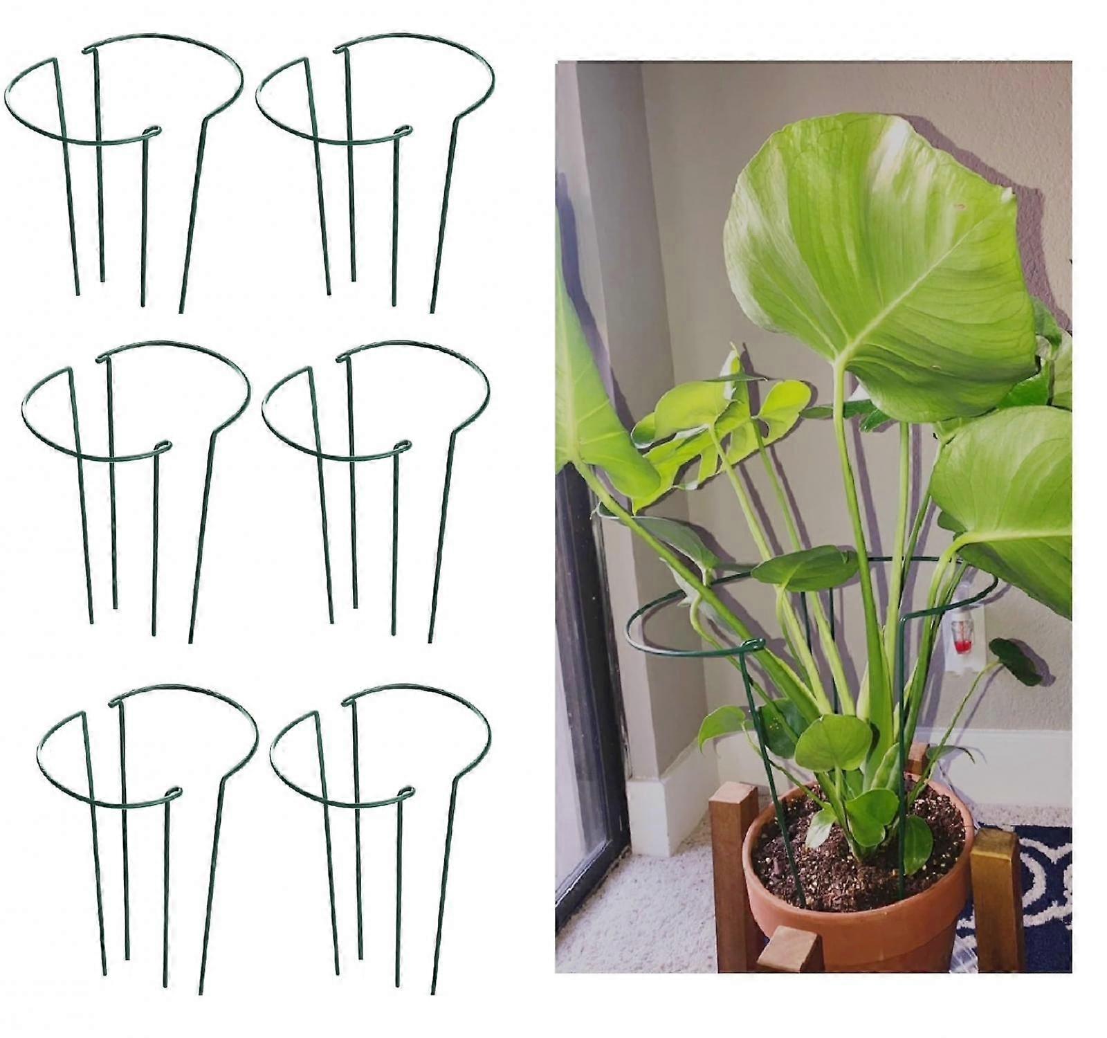 6x Round Metal Plant Support Stakes for Peony Hydrangea Strong Stakes ...