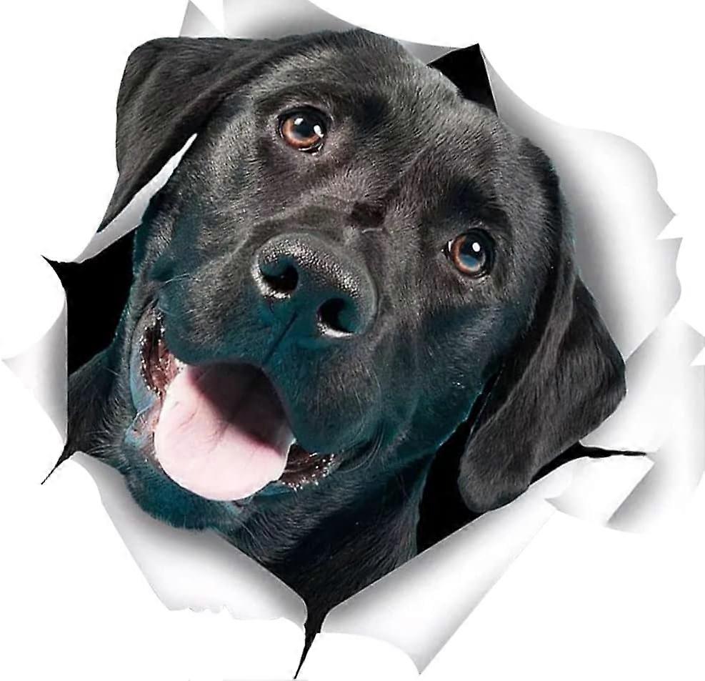 Pack Labrador 3D Dogs Stickers Black Labrador Retriever Car Sticker ...