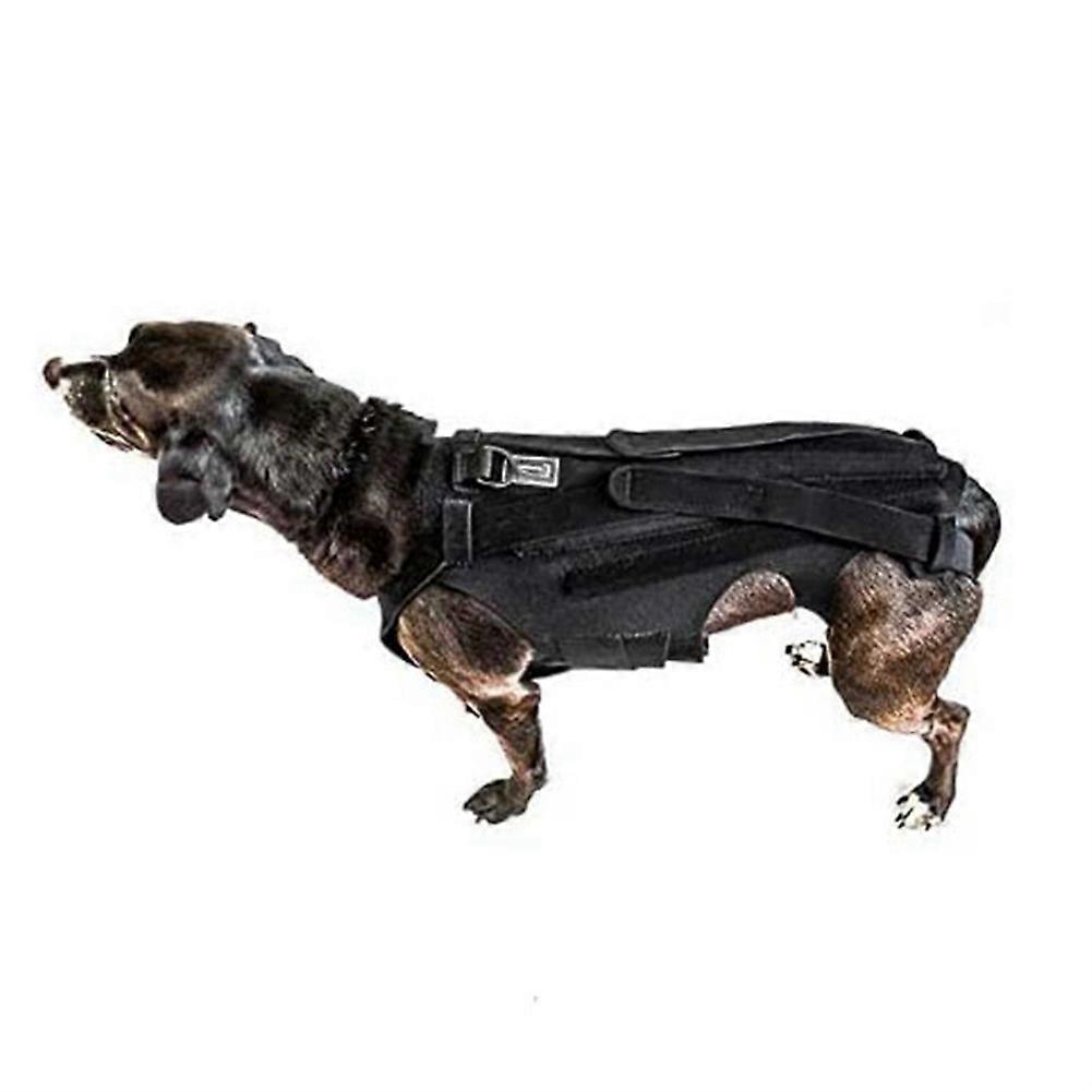 Dog Back Brace for IVDD,Pet Dog Back Brace Comfortable Full Body ...