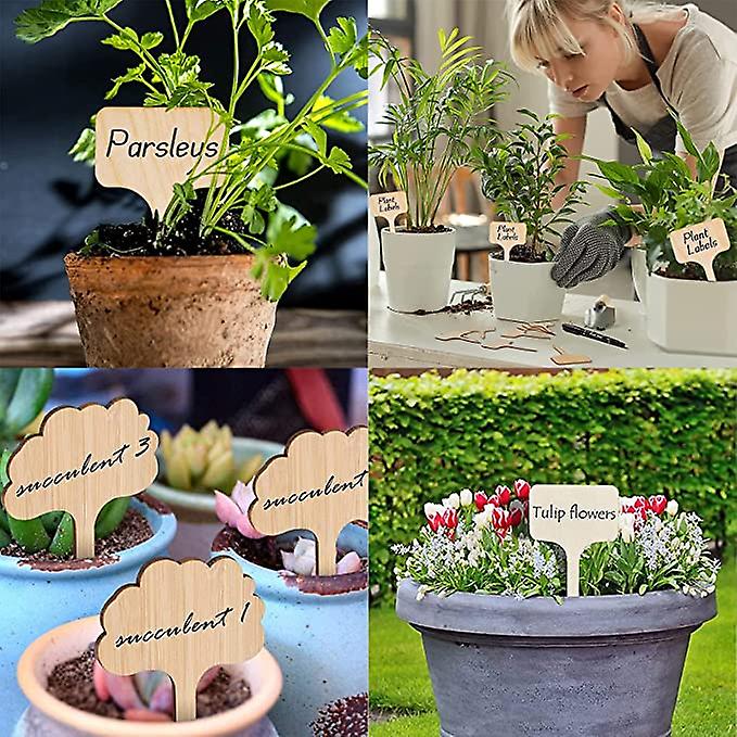 40 Pieces Bamboo Plant Tags, Durable Plant Labels, Garden Plants Pot ...