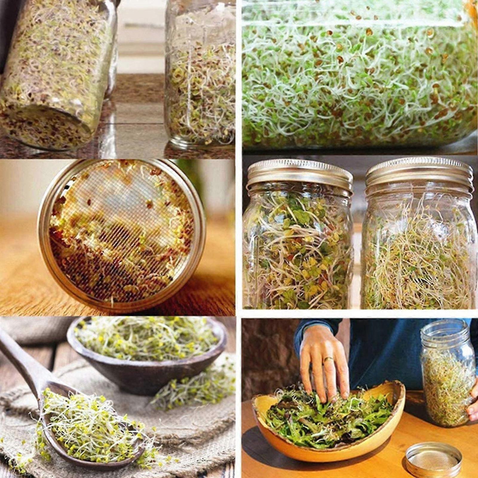 Sprouting Kit, 2 Wide Mouth Mason Jars, Sprouts Growing Kit Growing Jar ...