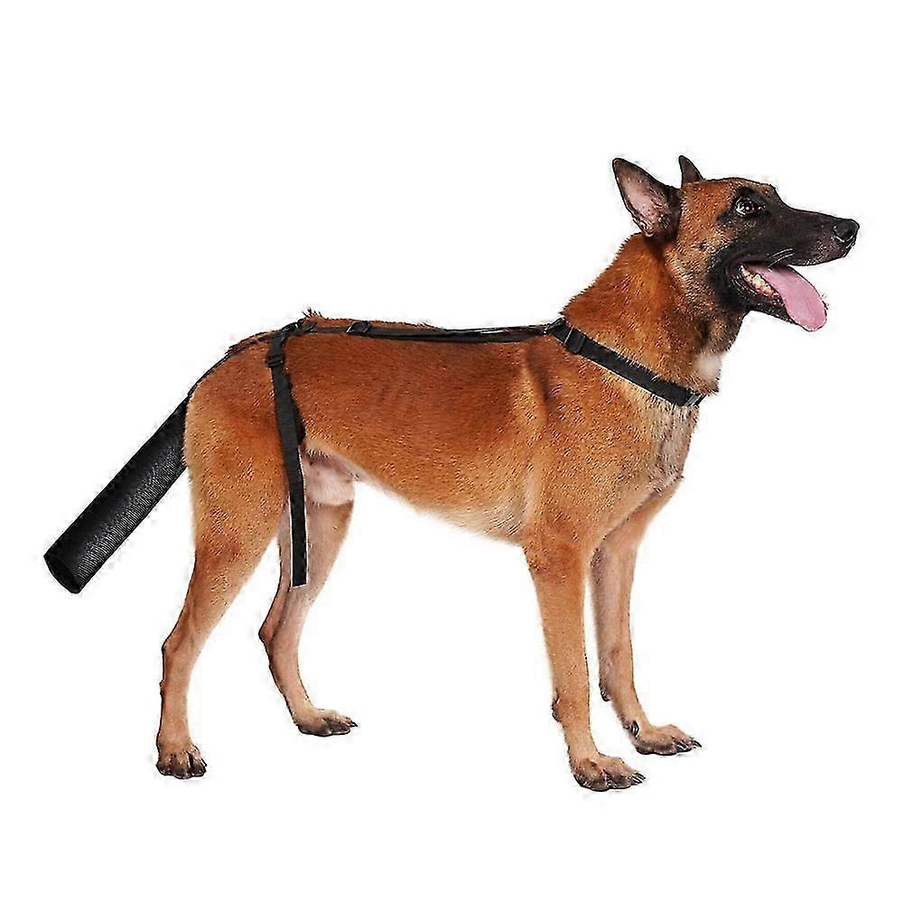 Dog Tail Protector, Dog Tail Guard Dog Tail Cover for Wounds Black Dog ...