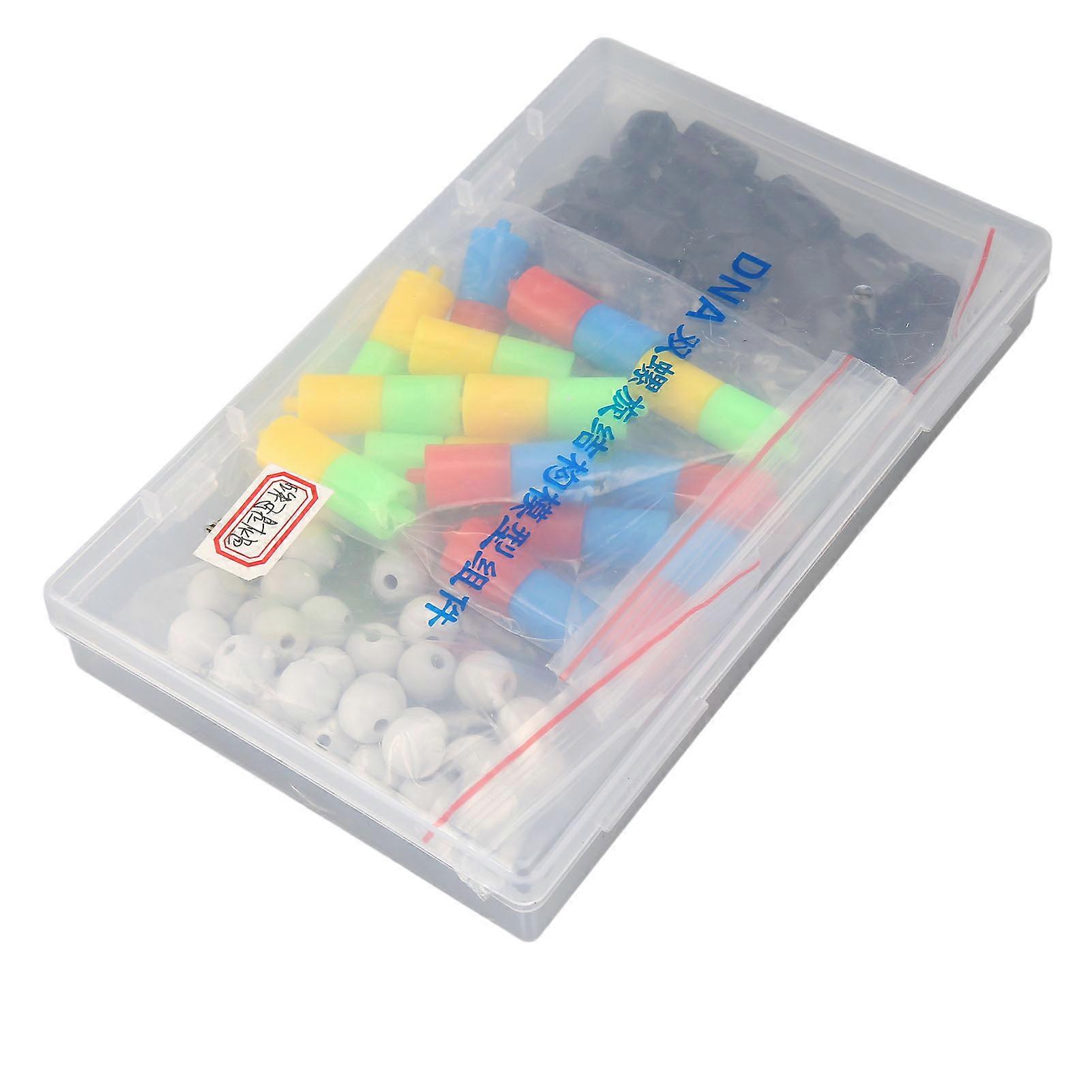 DNA Double Helix Structure Models Educational DNA Double Helix Modesl ...