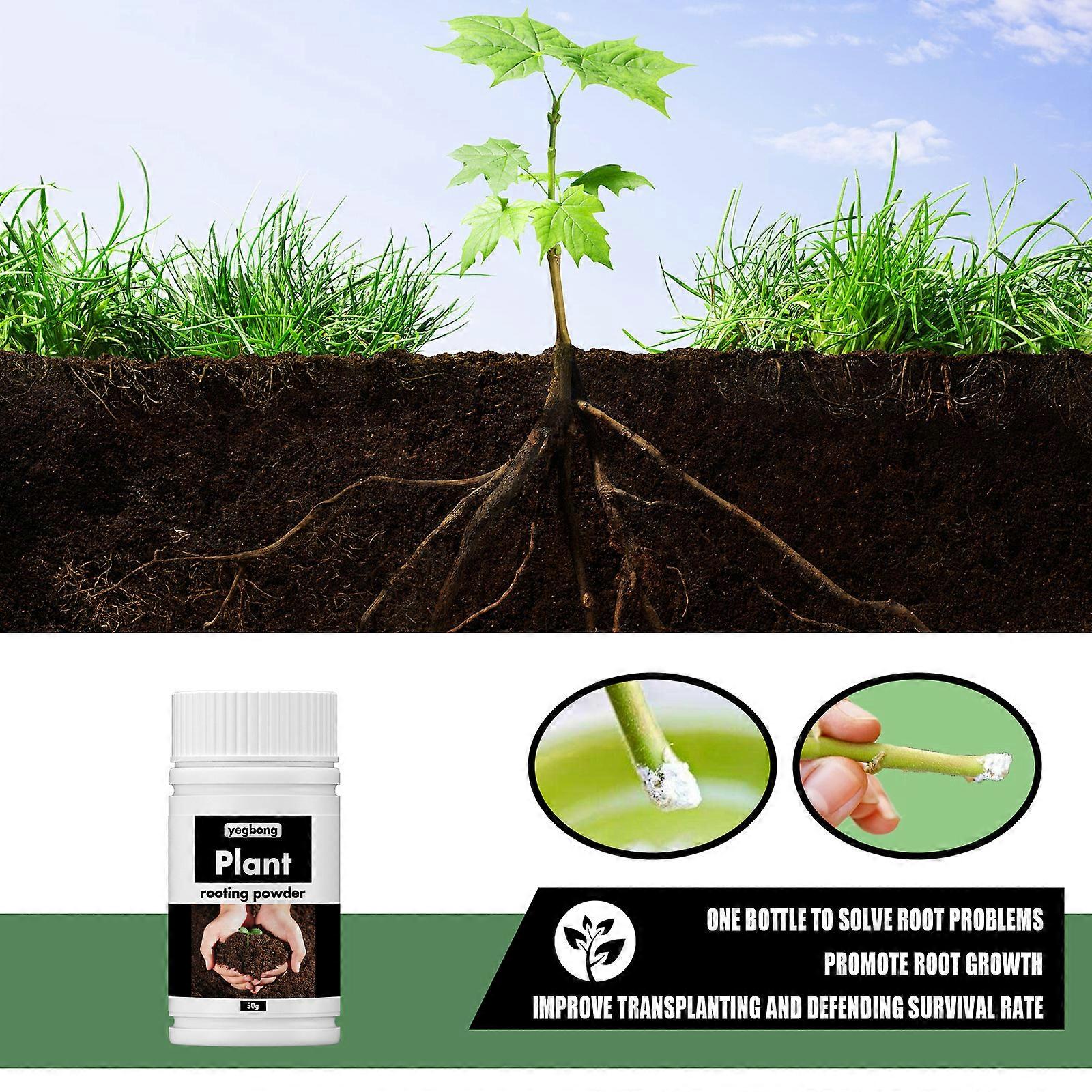 Plant Rooting powder 50g cuttage plant hair root general seedling fruit ...
