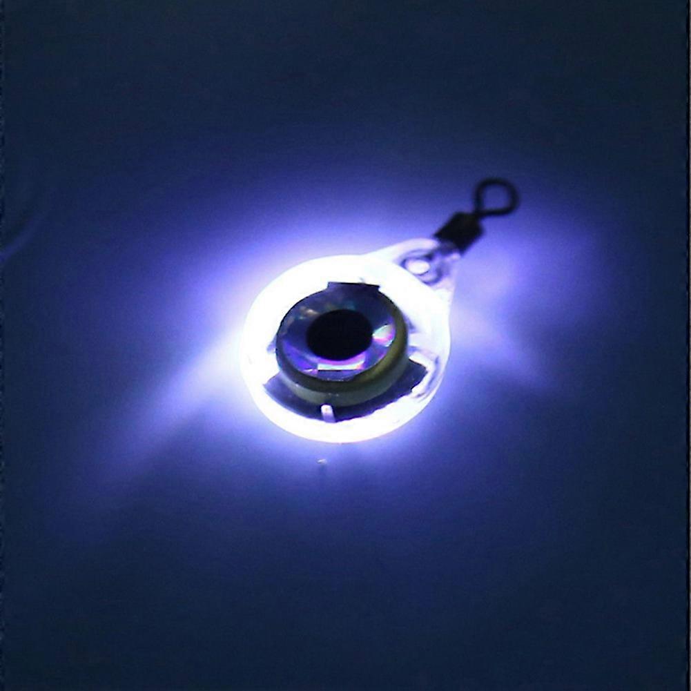 Kaesi Mini LED Flashing Underwater Squid Bait Lures Fish Attraction ...