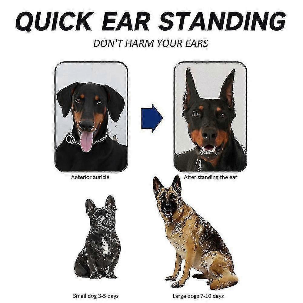 Dog Ear Stand Up Sticker Assist Erected Ear Tool Puppy Ear Vertical ...