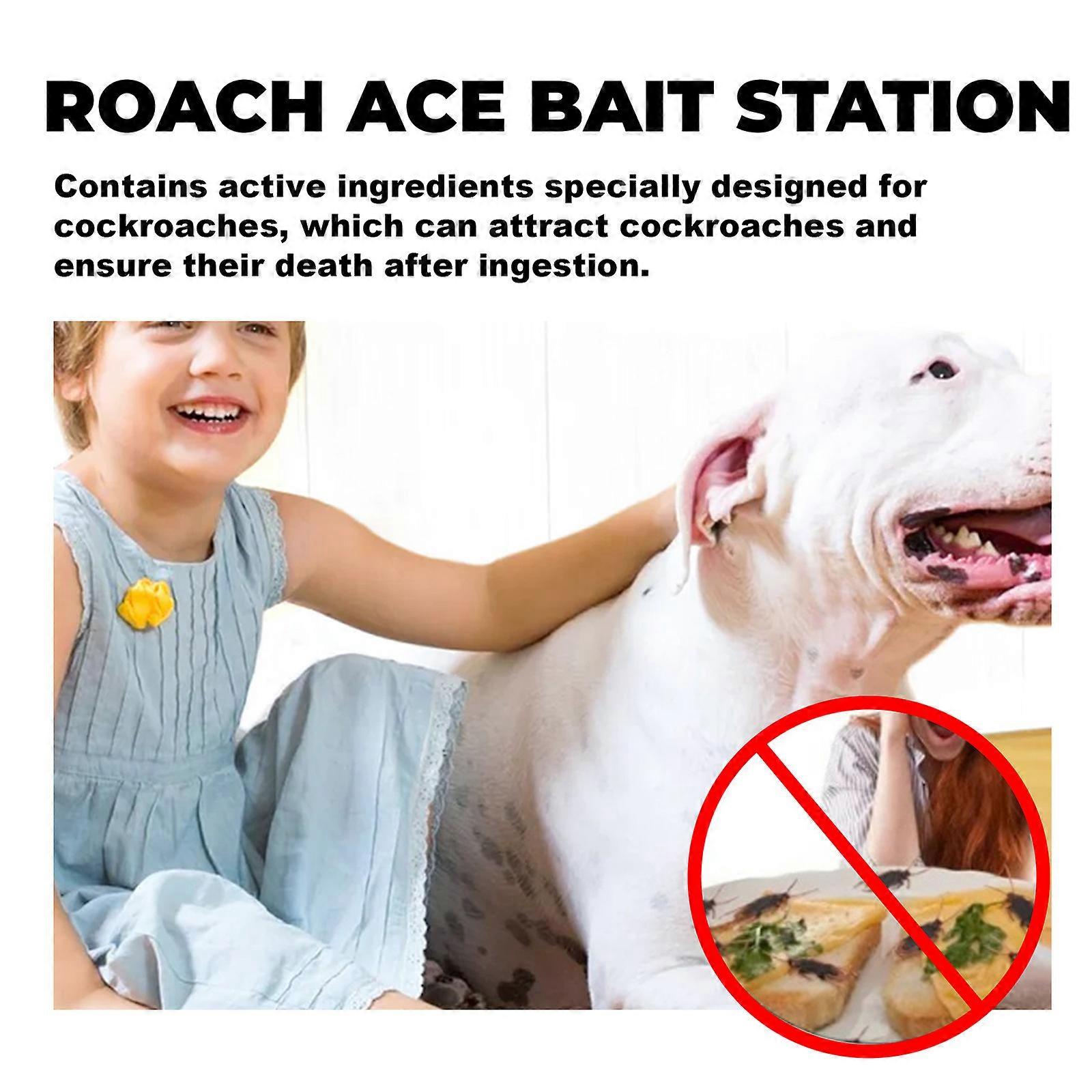 Roach Bait Stations, Natural Cockroach Repellent, Roach Traps Indoor ...