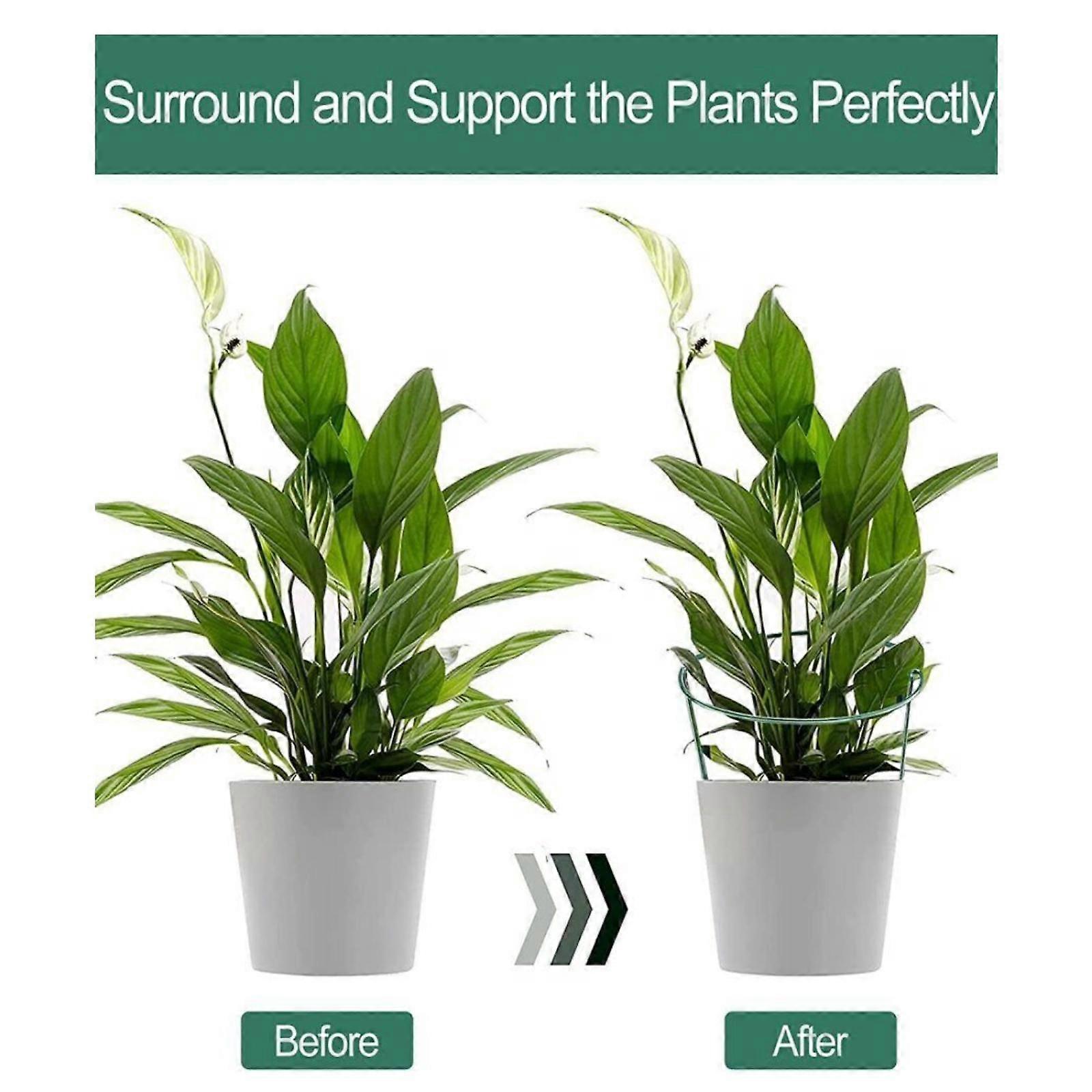 6x Round Metal Plant Support Stakes for Peony Hydrangea Strong Stakes ...