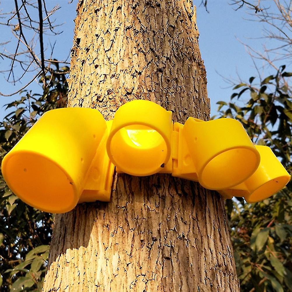 Plant Frame Large Tree Growing Support Stakes Tripod Plastic Cups ...