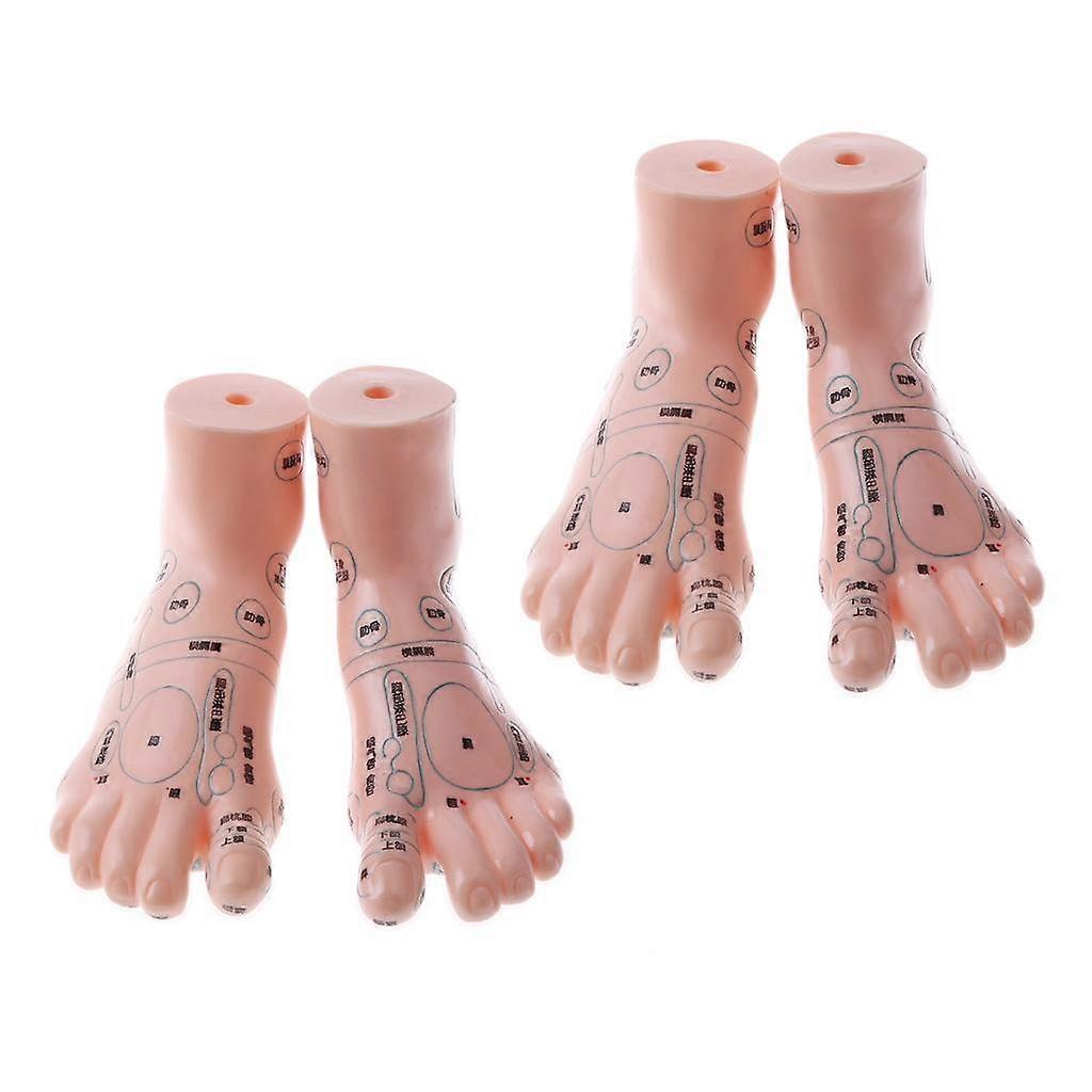 2 pair 19cm Massage Acupuncture Feet Model Reflexology Acupoint Kit ...