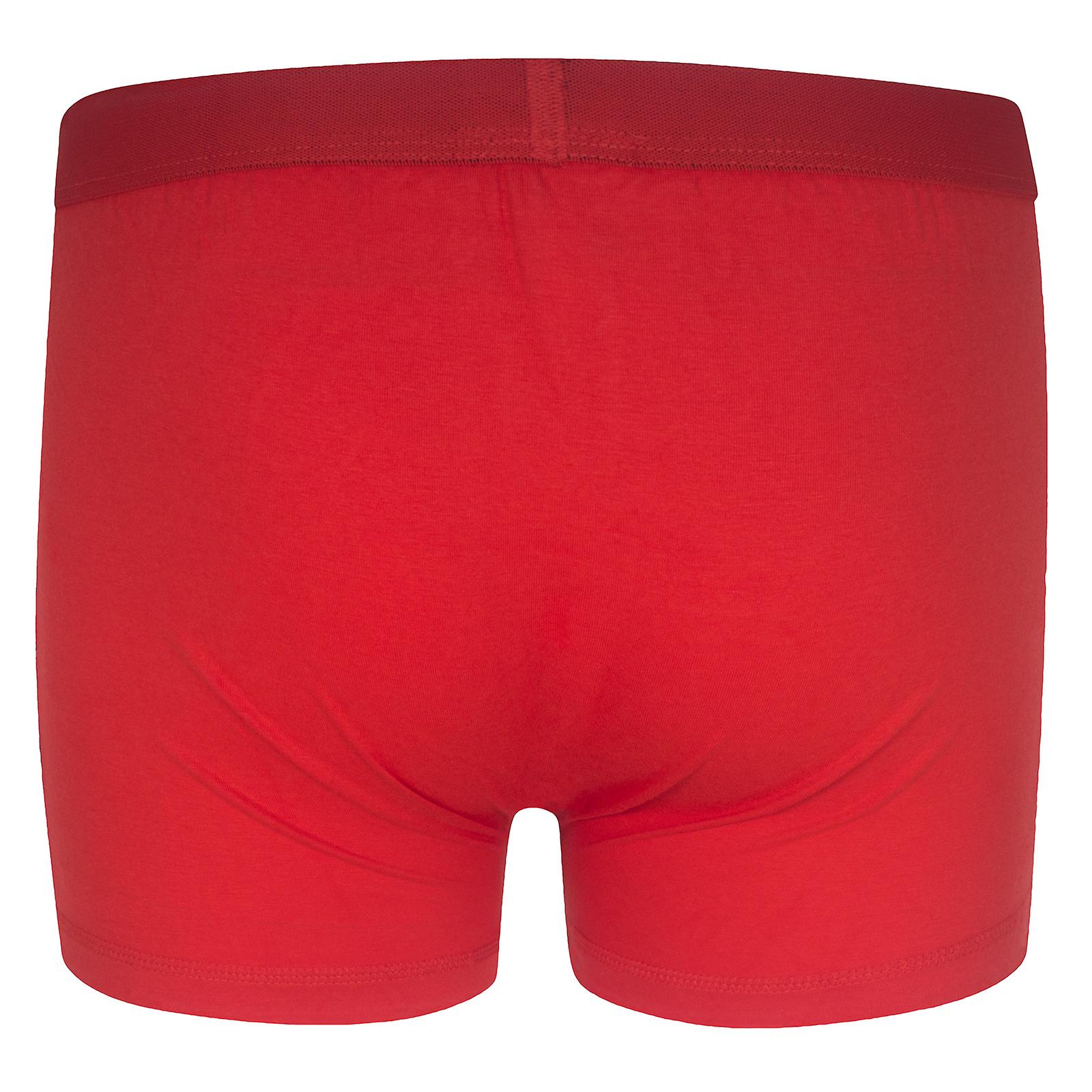 Arsenal FC Boys Boxer Shorts 1 Pack OFFICIAL Football Gift | Fruugo UK