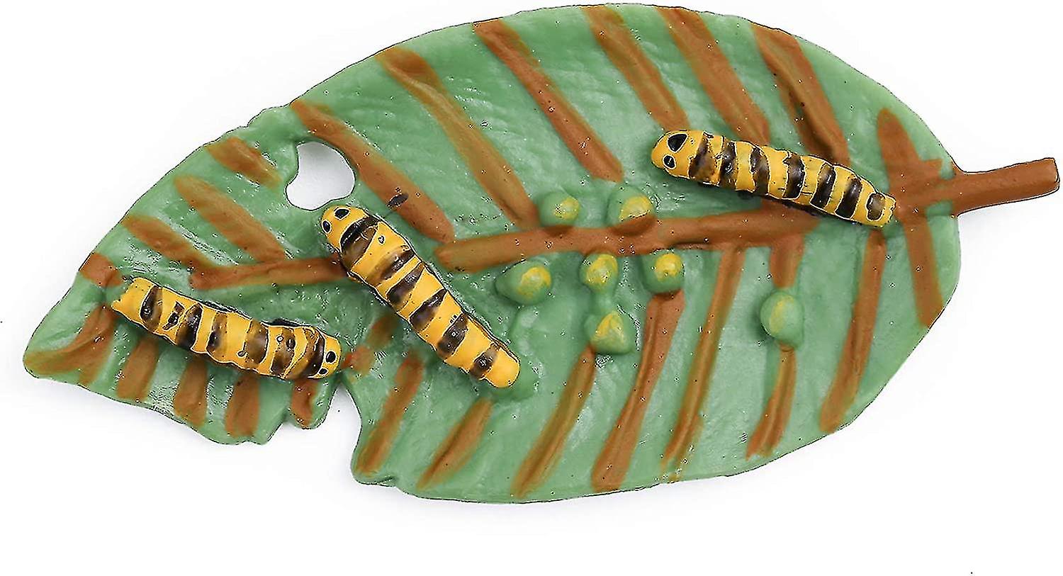 4pcs Butterfly Life Cycle Kit Lifestyle Stages Of Monarch Butterfly ...