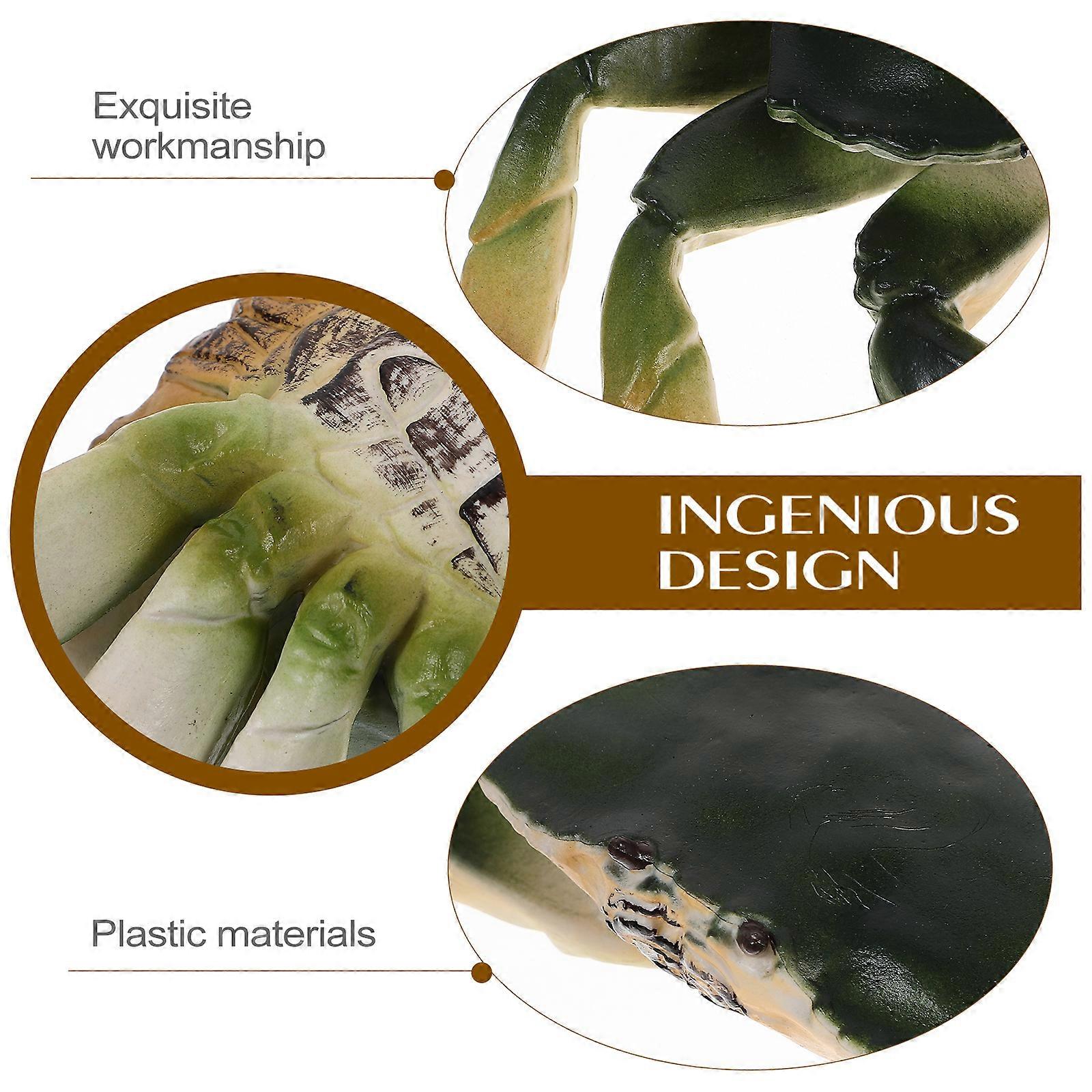 Realistic Simulation Crab Model Educational Plastic Simulated Crab ...