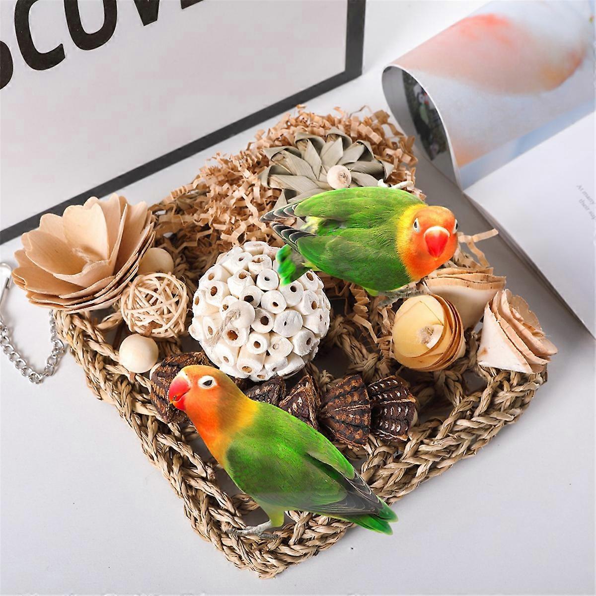 Bird Toys, Parakeet Toys Bird Foraging Toys Grass Mat Climbing Wall for ...