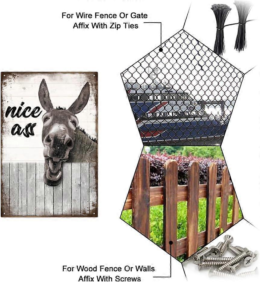 "Nice Ass" Vintage Metal Tin Sign Plaque Poster 12x8in/30x20cm Retro ...