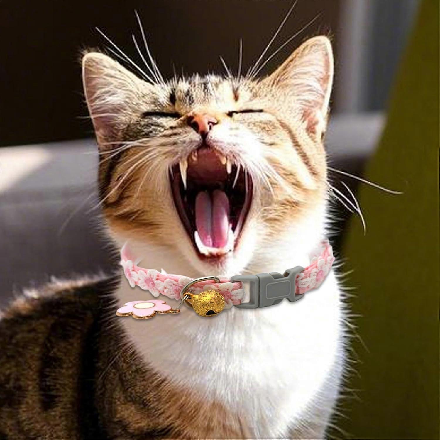 Puppy Breakaway Cat Collar 2-Pack, Adjustable 13.3 Inch Soft Material ...