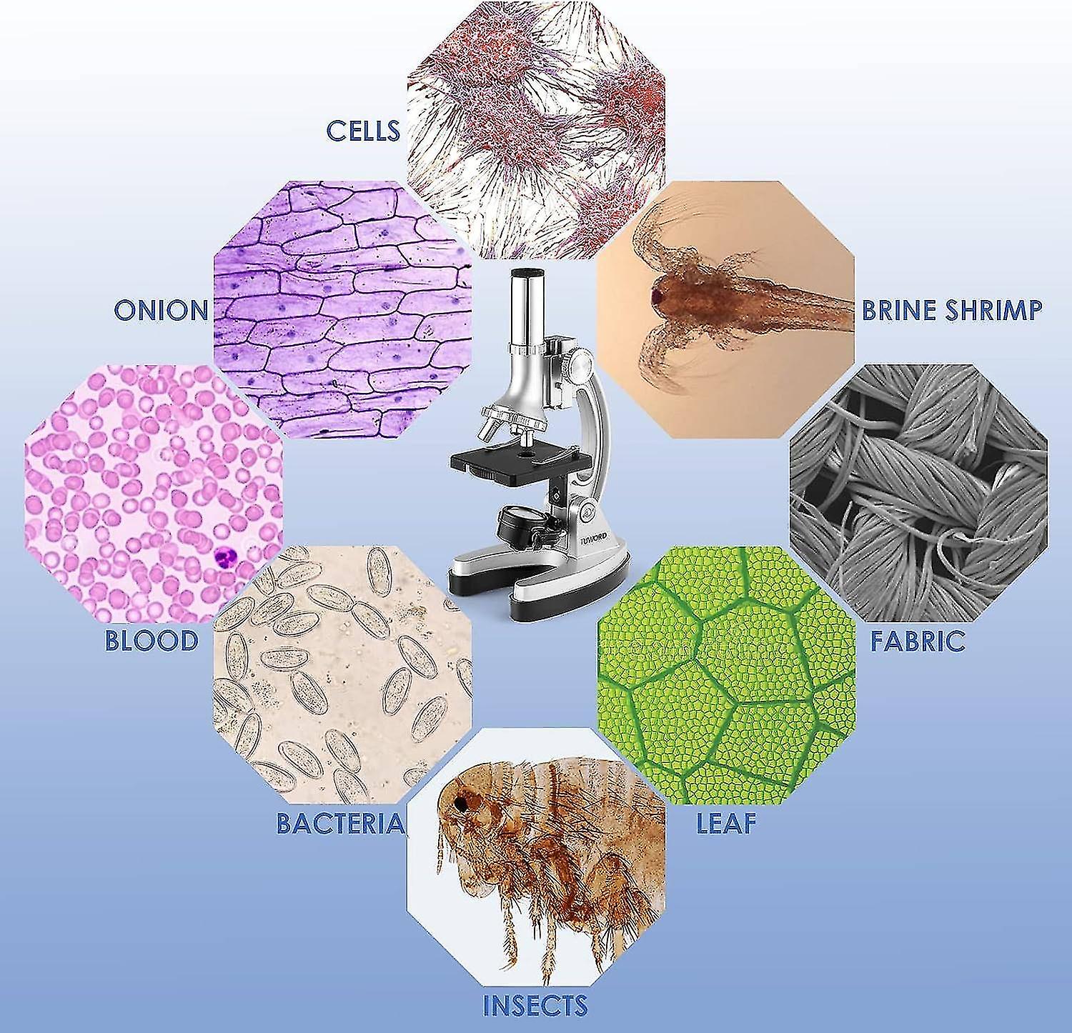 Microscope 300x-600x-1200x Monocular Microscopes With Metal Arm ...