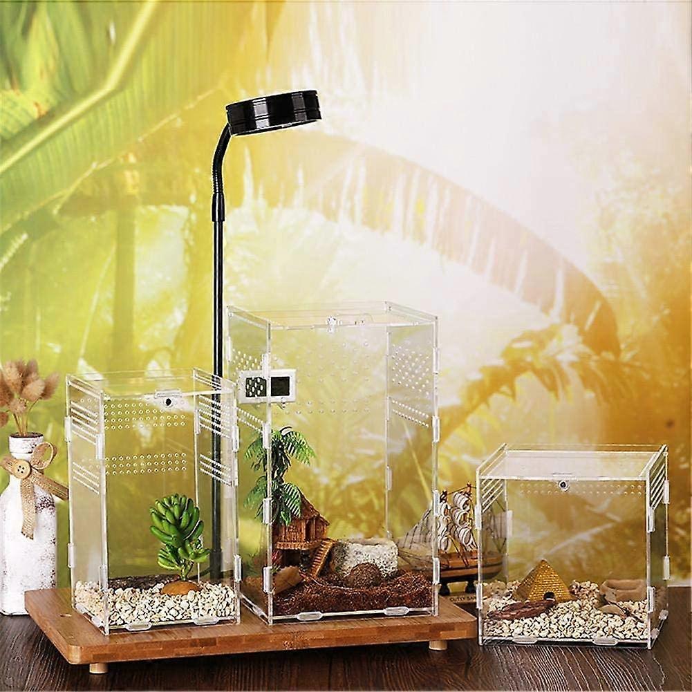 Insect Feeding Box, 12x12x20cm Acrylic Transparent Breeding Case for ...