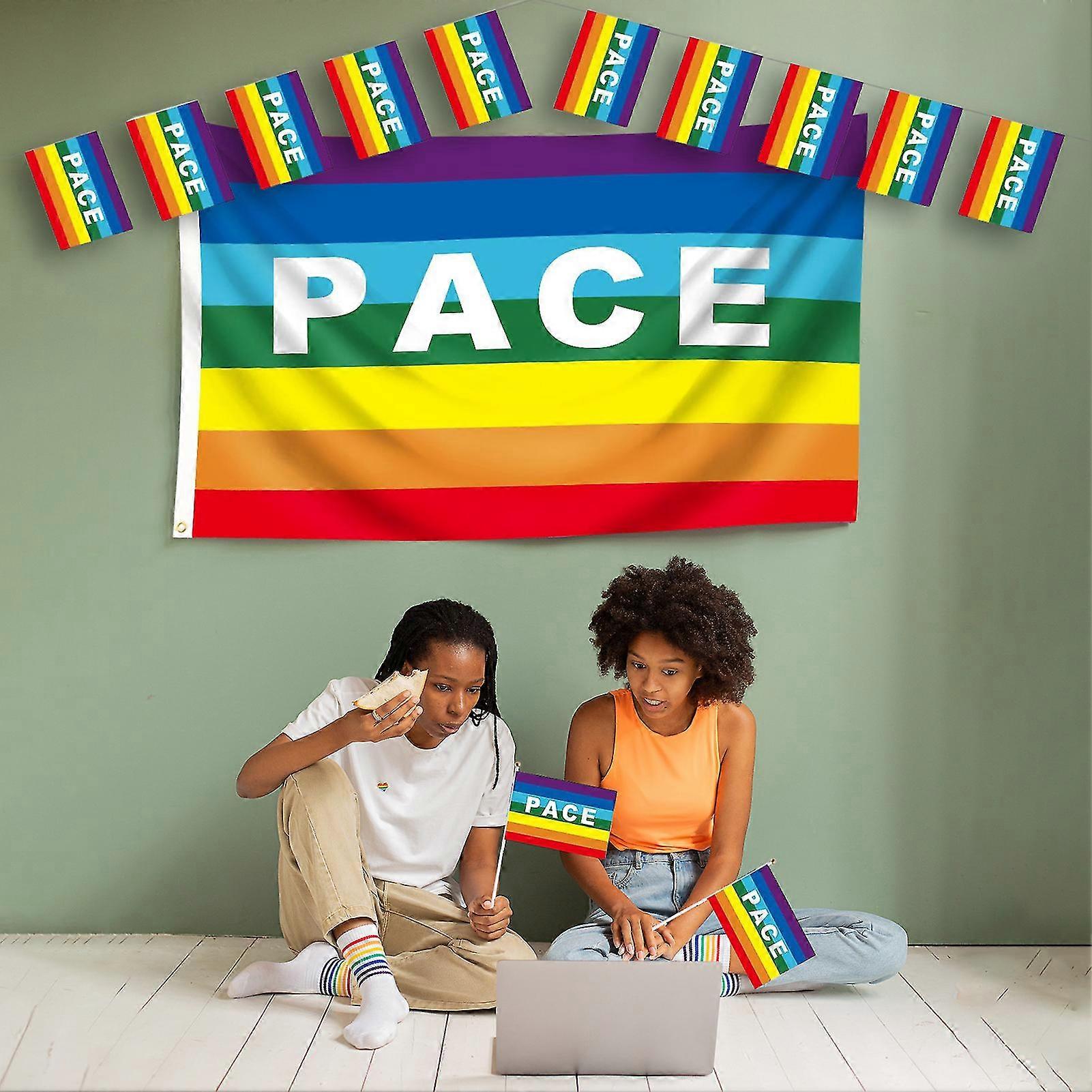 Gay Pride Flag Set Rainbow Lgbtq With Pace Pattern Banner String Bunting For Parade | Fruugo UK