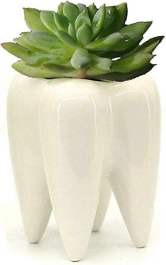 Ceramic Tooth Pencil Toothbrush Holder Pot Meat Plant Pot Home Office ...