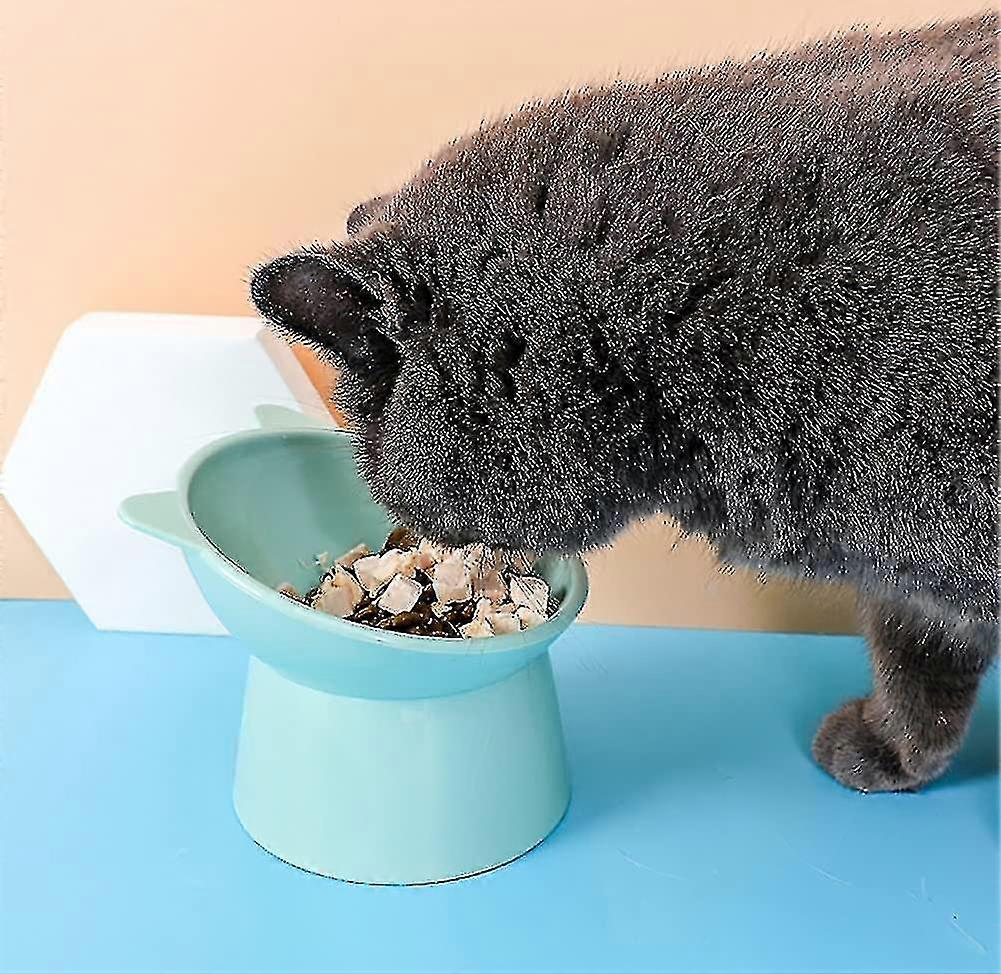 Cat Bowl, Dog Bowl, Elevated Cat Bowl, Anti Vomiting Cat Bowl, Non Slip ...