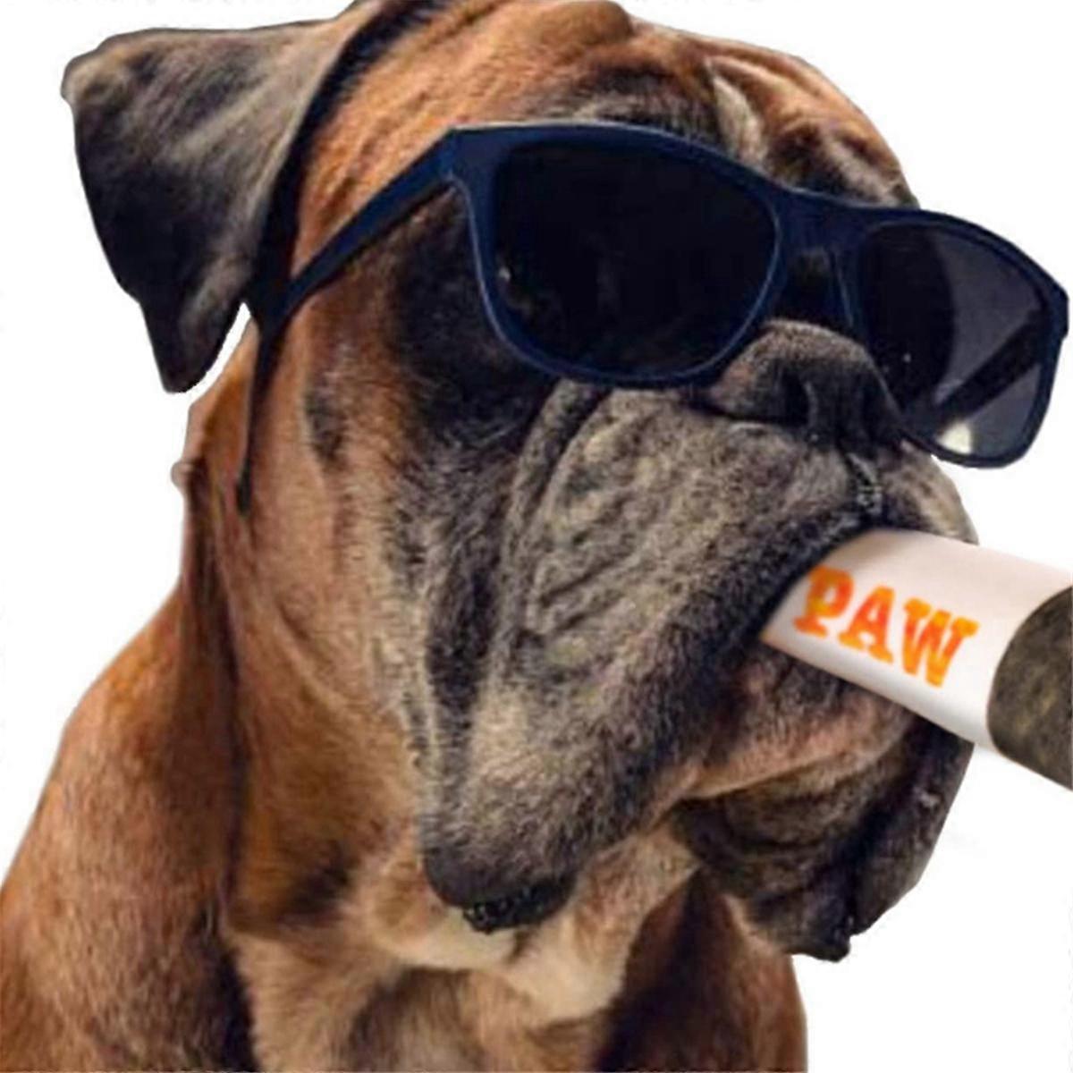 Funny Dog Toys - Plush Squeaky Toys for Medium, Small - Cool Stuffed ...
