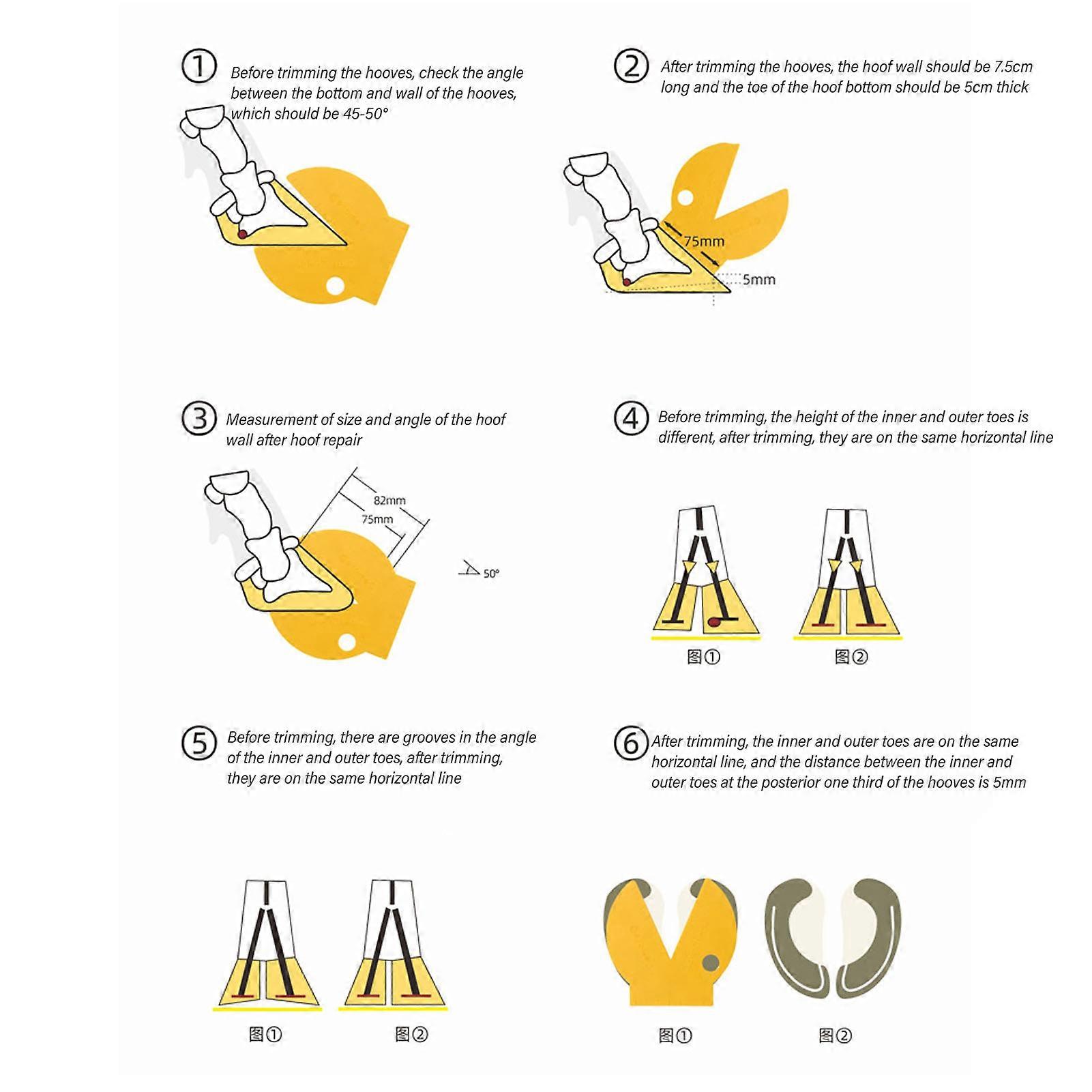 Hoof Claw Check Gauge Engineering Plastic Measurement Diagnosis Cattle ...