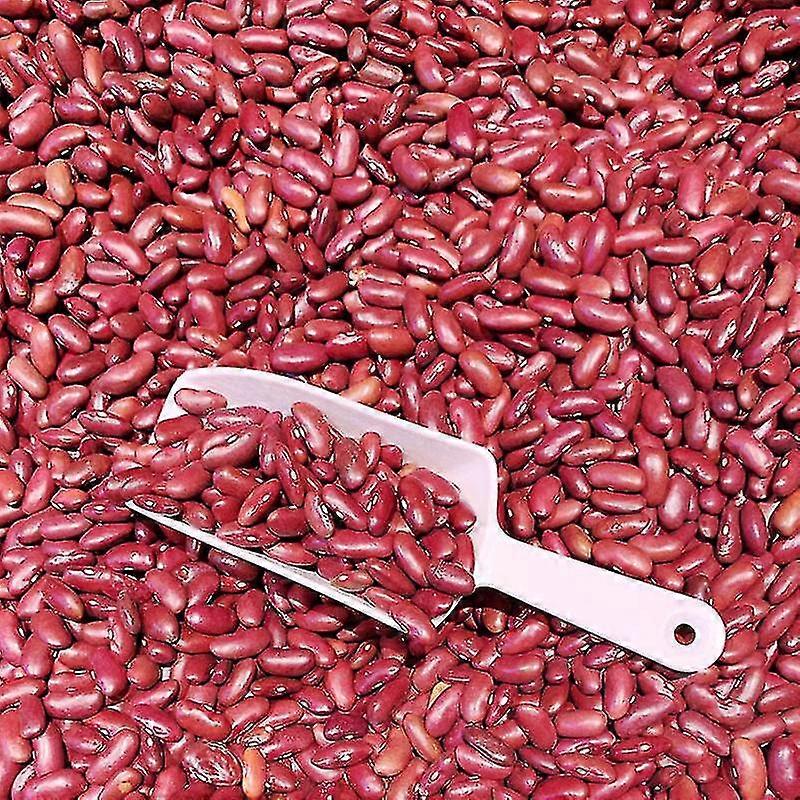 Pp Plastic Food Scoop Shovel Flour Supermarket Cereal Ice Nuts Candy ...