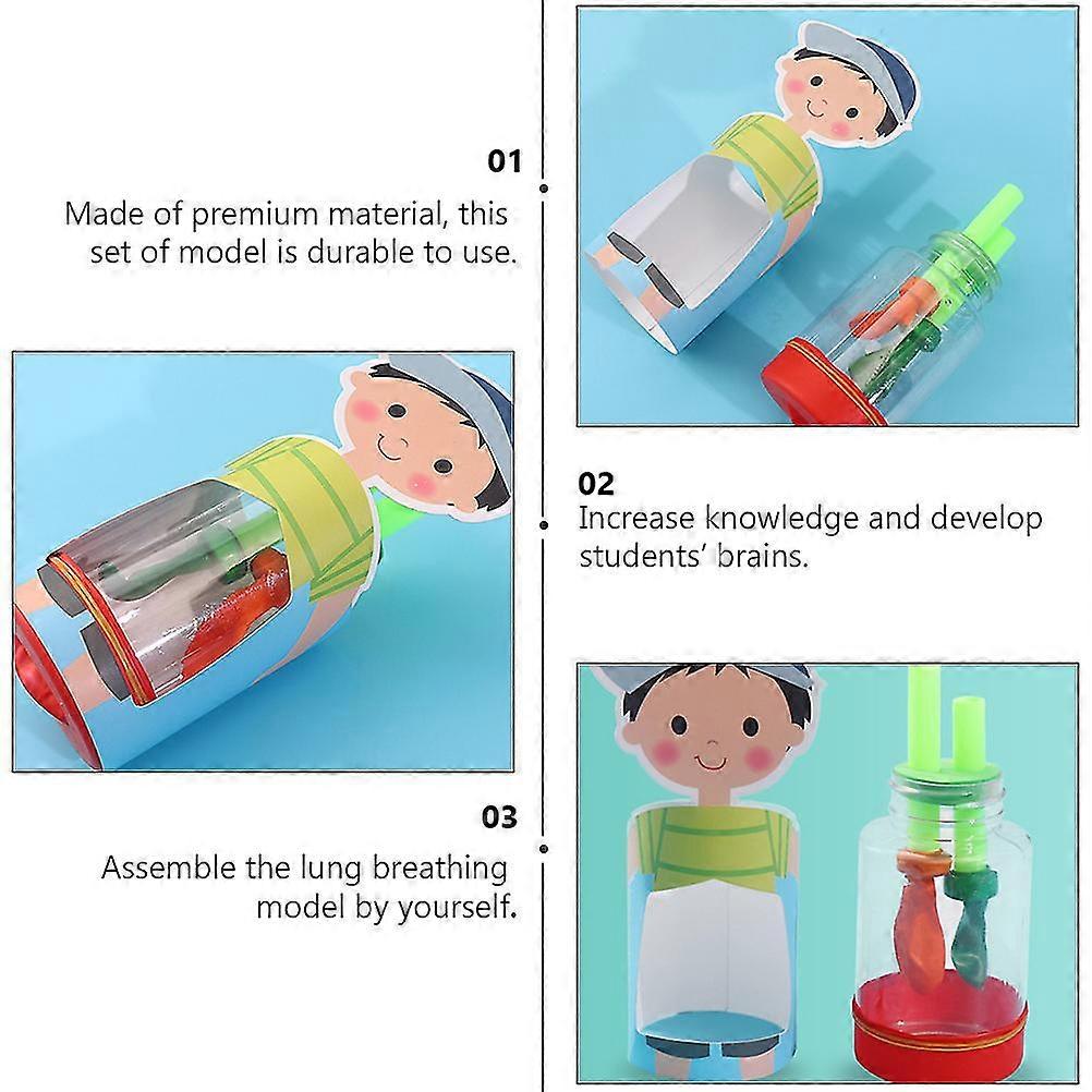 2 Sets Human Lung Breathing Model Assembly DIY Toy Children DIY ...