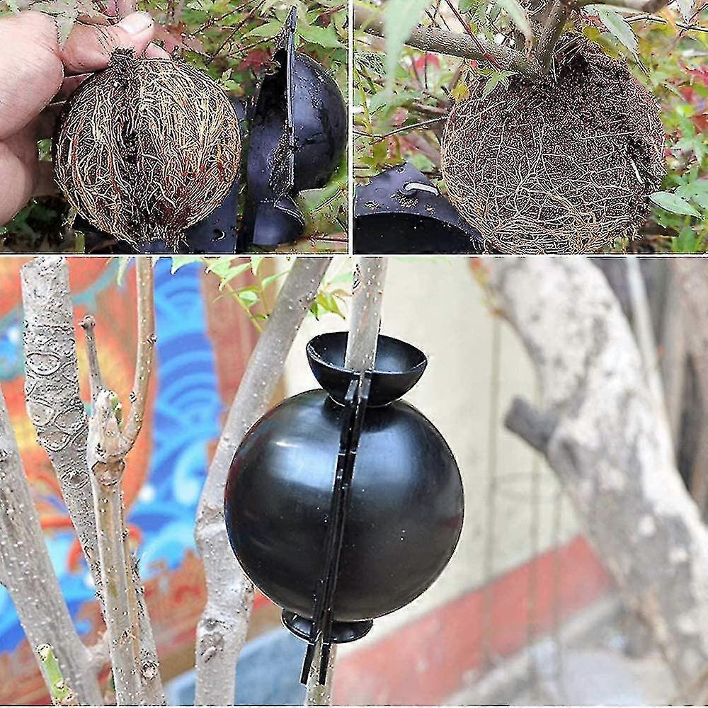 Plant Grafting Box, 4 Pieces Plant Rooting Device, Plant High Pressure ...