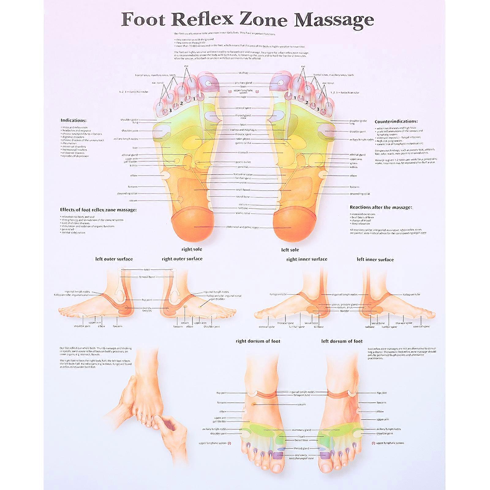 Foot Reflexology Chart Poster Massage Knowledge Poster Wall Art Home ...