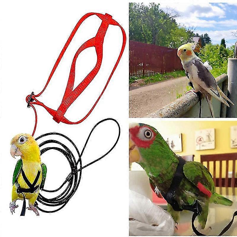 Pet Parrot Bird Harness Leash Adjustable Bird Flying Harness Traction ...