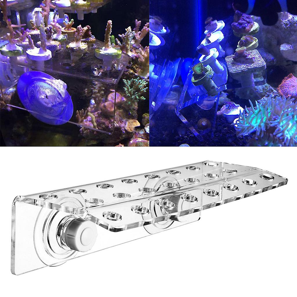 23 Plugs Coral Rack Acrylic Coral Frag Clip Aquarium Coral Bracket ...