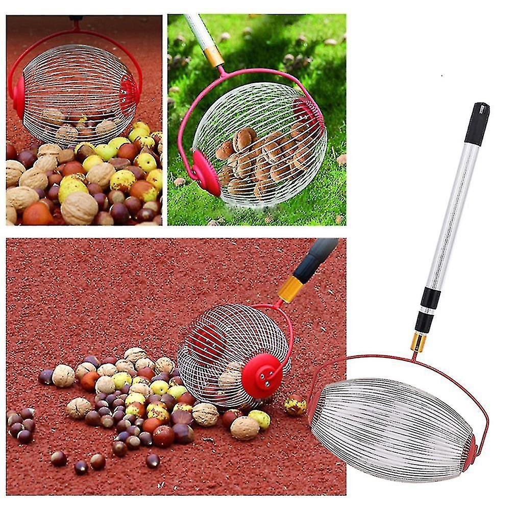 Nut Collector Portable Ball Picker Walnut Harvester With Telescopic 18. ...