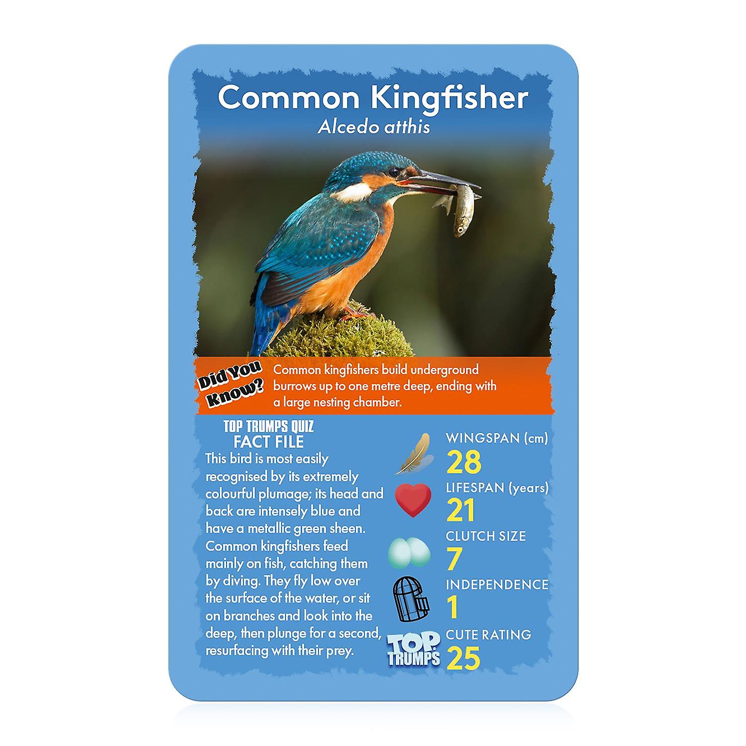 Birds Top Trumps Card Game | Fruugo UK