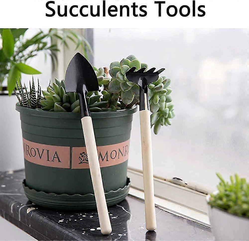 Succulent Plant Tools, Mini Garden Hand Transplant Gardening Tool Set ...