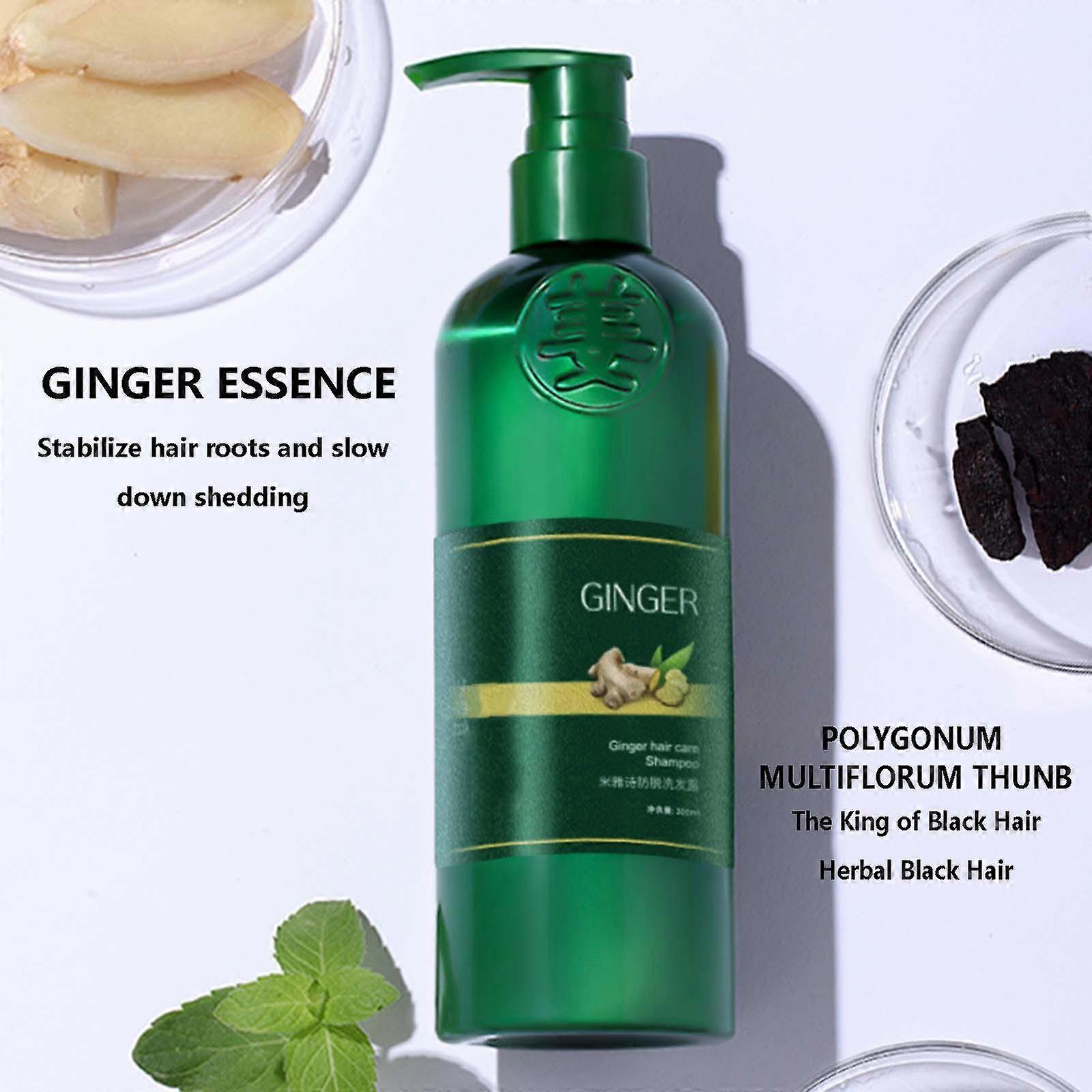 Hair Care Ginger And Polygonum Multiflorum Shampoo Prevents Hair Loss ...