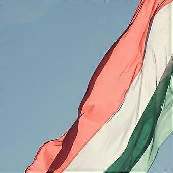 Hungary Flag,Eyelet In Every Corner, Hungarian Flag, Magyar Zszl, The ...
