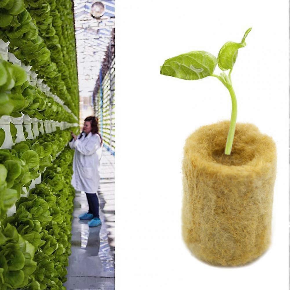 50Pcs Practical Hydroponic Sponge Easy to Transplant Rock Wool Grow ...