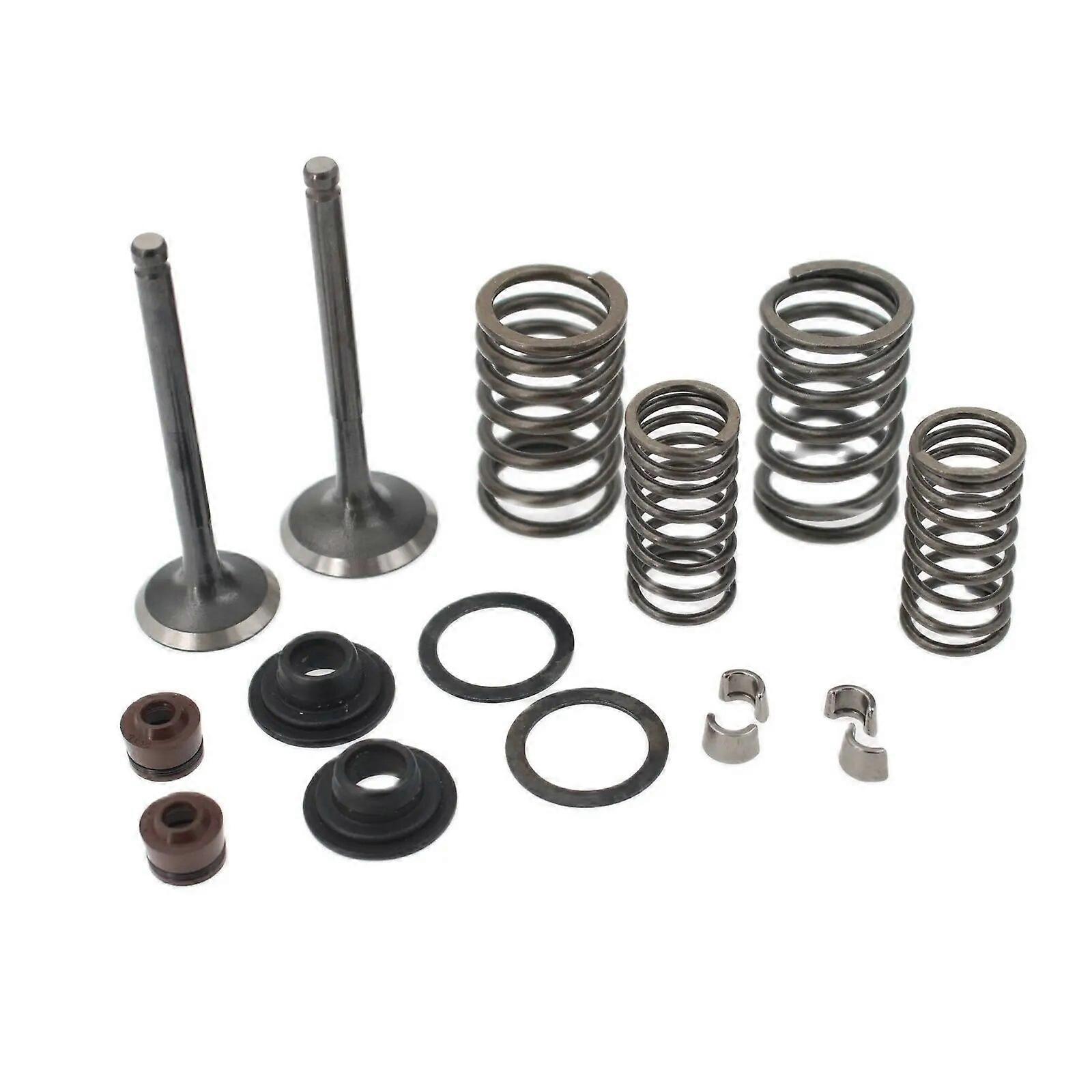 WILEBO Motorcycle Complete Valve Assembly Set with Springs Oil Seals ...