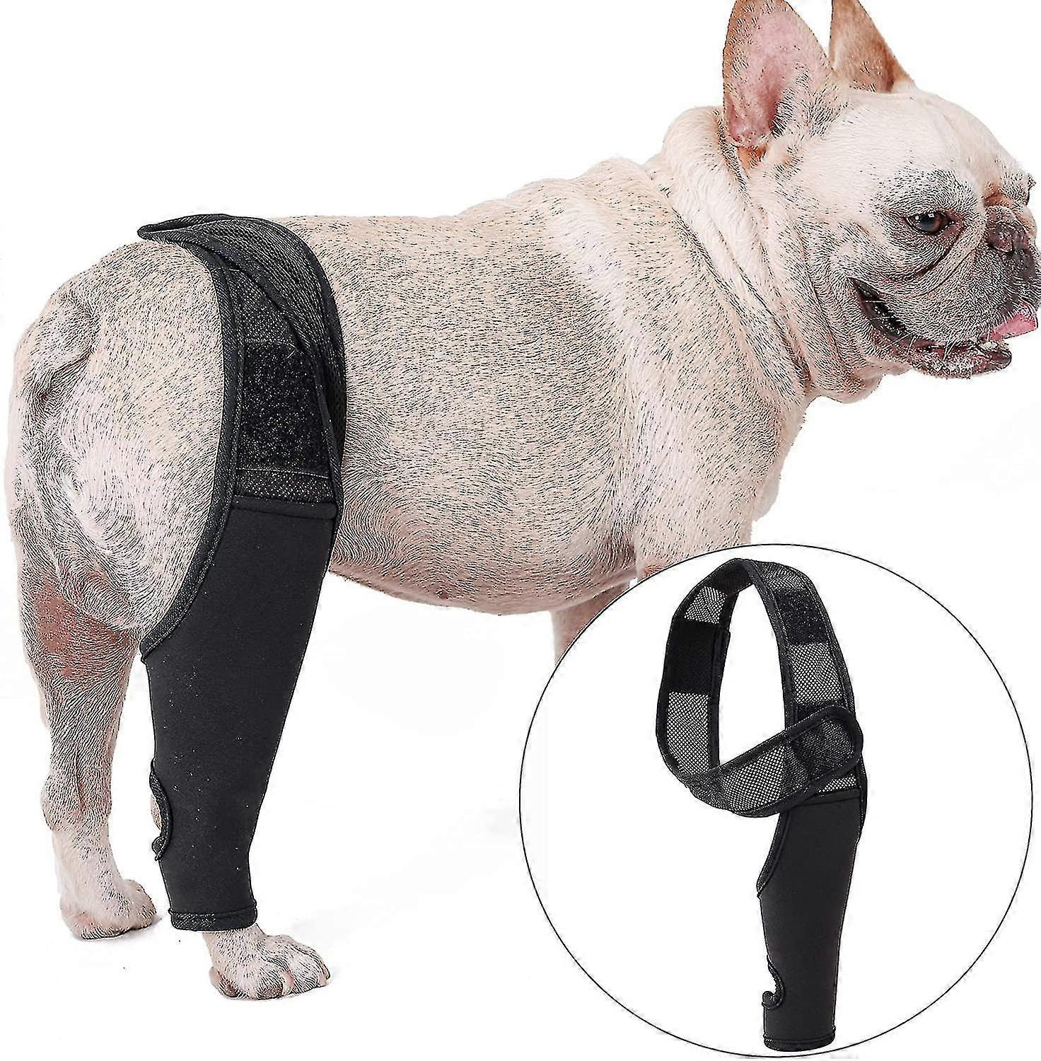 Dog Leg Injury Support Front And Rear Leg Protector Breathable ...